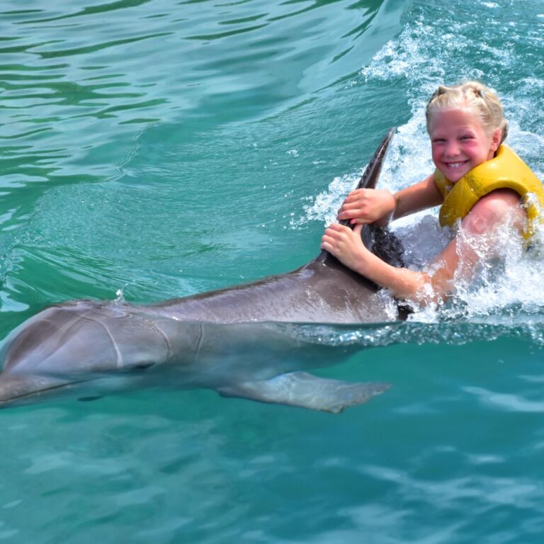 MANAWAKIE PARK + CITY SIGHTSEEING ISLAND TOUR + DOLPHIN ACTIVITIES ...